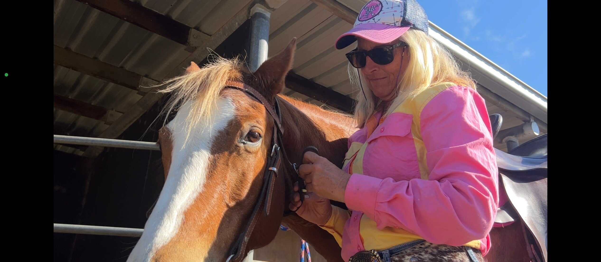 Extreme cowboy racing on the rise in Australia, members encourage more ...