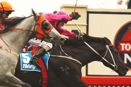 Lonhro the hottest of favourites - ABC News