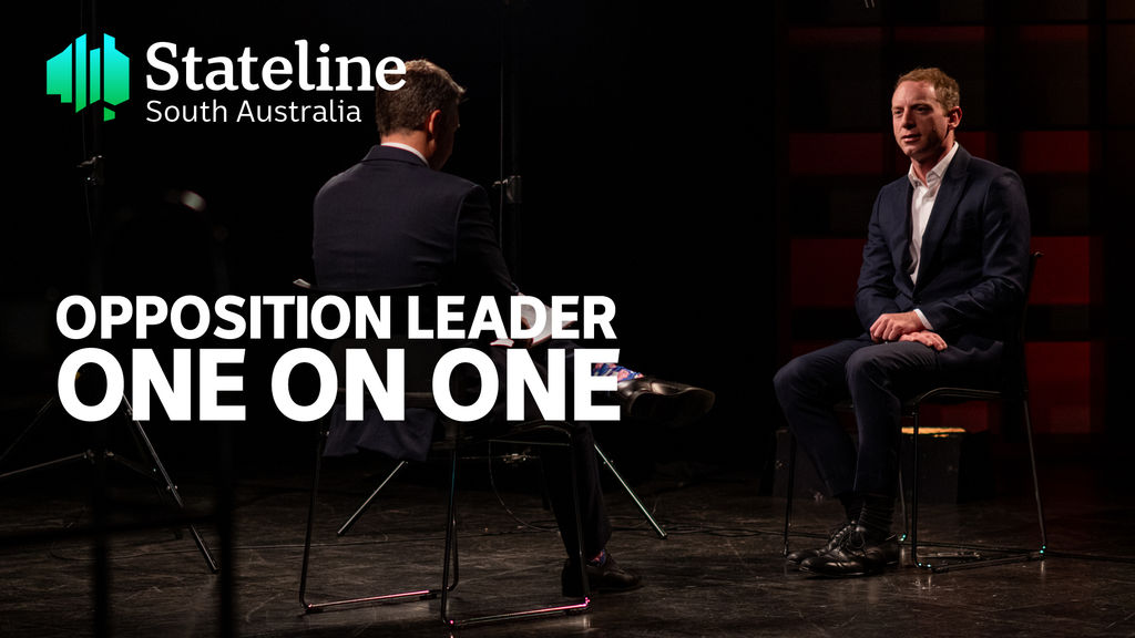 David Speirs on the SA Liberal's leadership and policies - ABC News