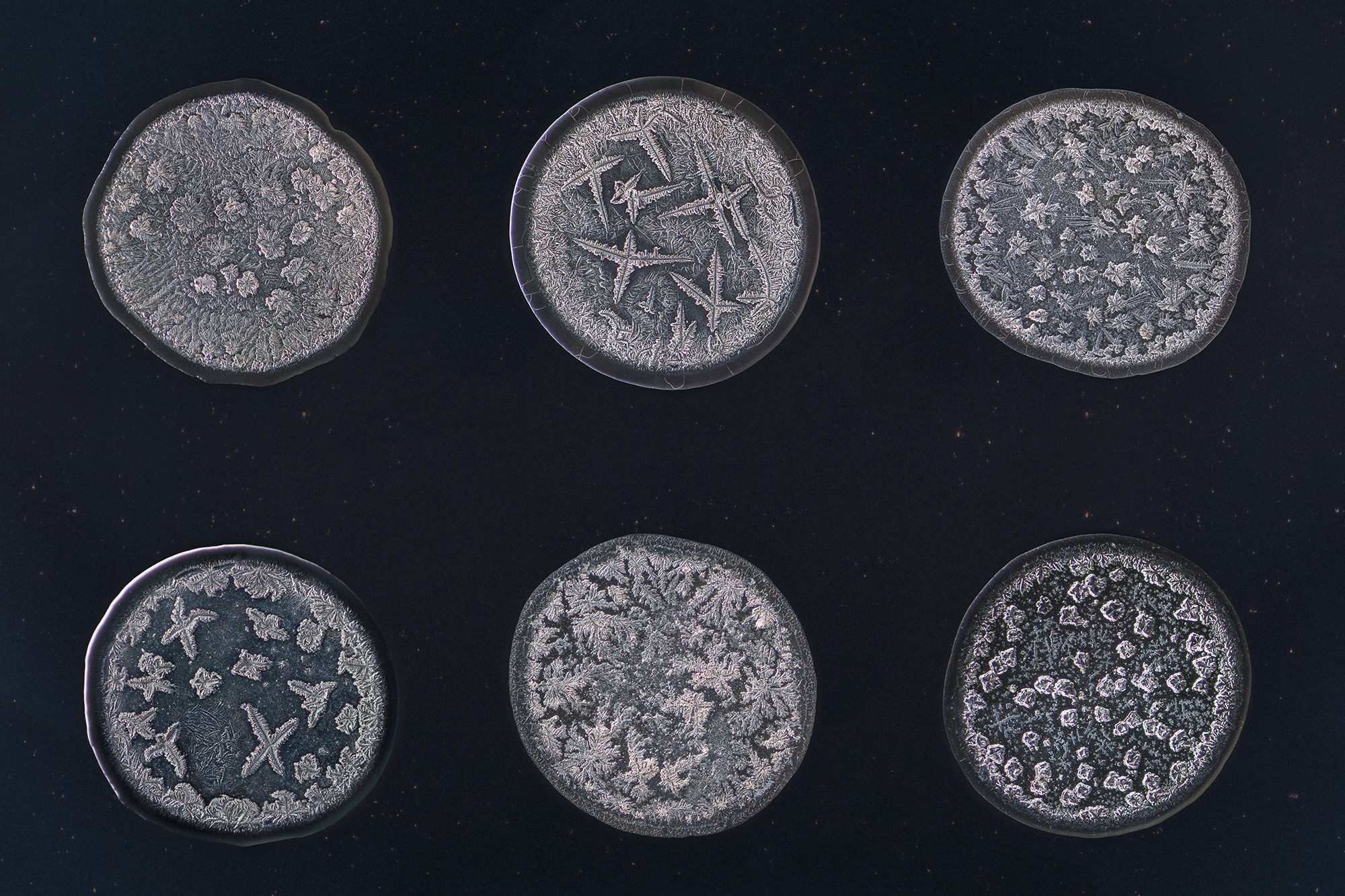 Dutch photographer Maurice Mikkers studies the beauty and emotion ...