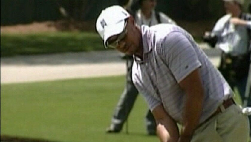 Tiger tames toothless pack - ABC listen