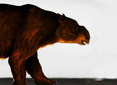 The history of megafauna in Australia - ABC listen