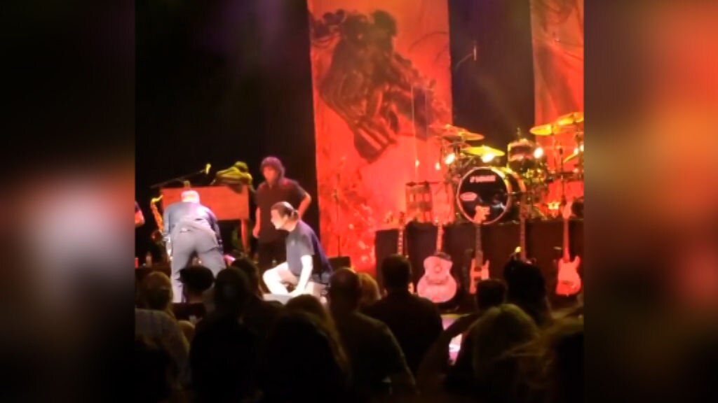 Footage shows Meat Loaf collapsing on stage - ABC News