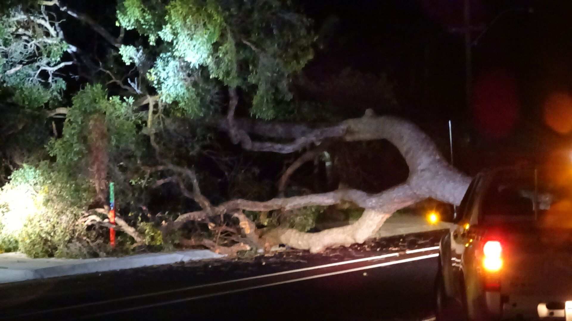 Storm damages WA homes, brings down power lines as winds reach up to ...