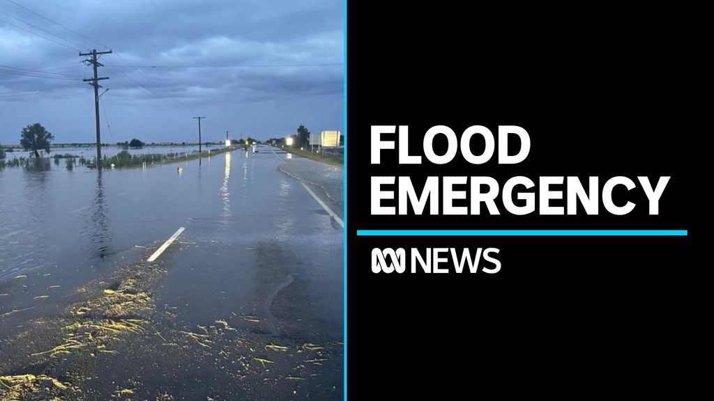 Heavy rain in NSW north causes flood emergency to escalate - ABC News