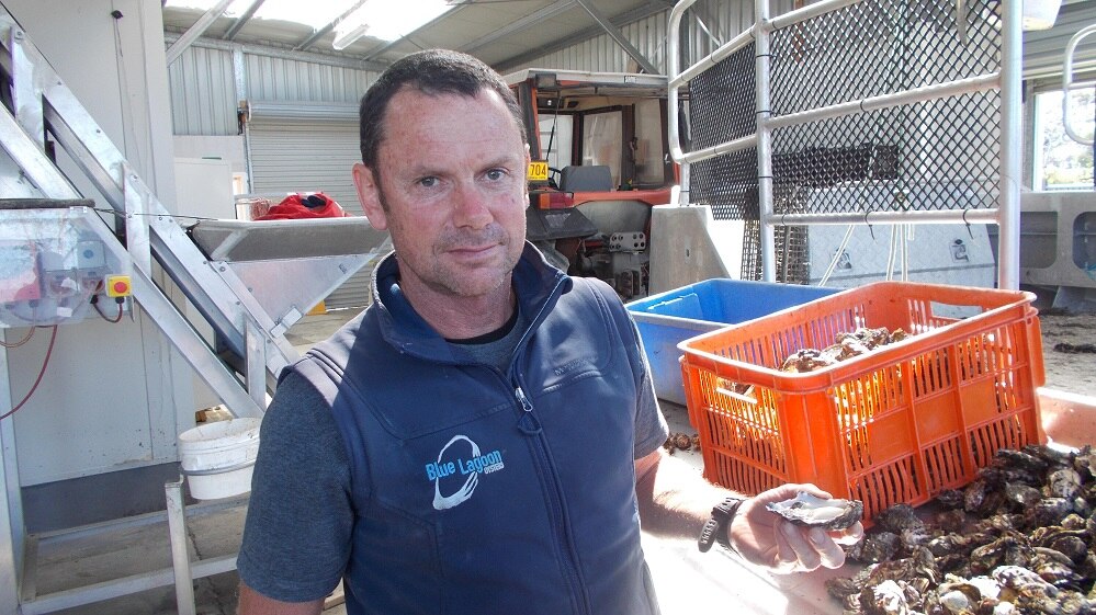 Tasmanian Country Hour - ABC listen