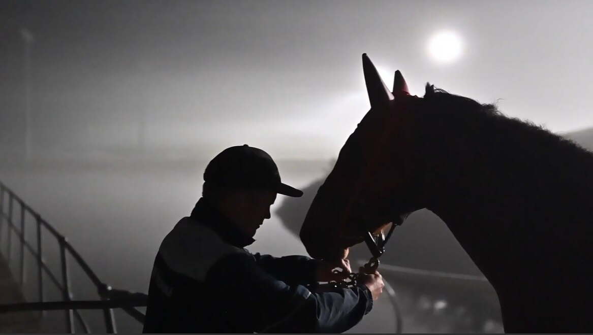'It's incredible': Legendary horse trainer David Vandyke ramps up ...