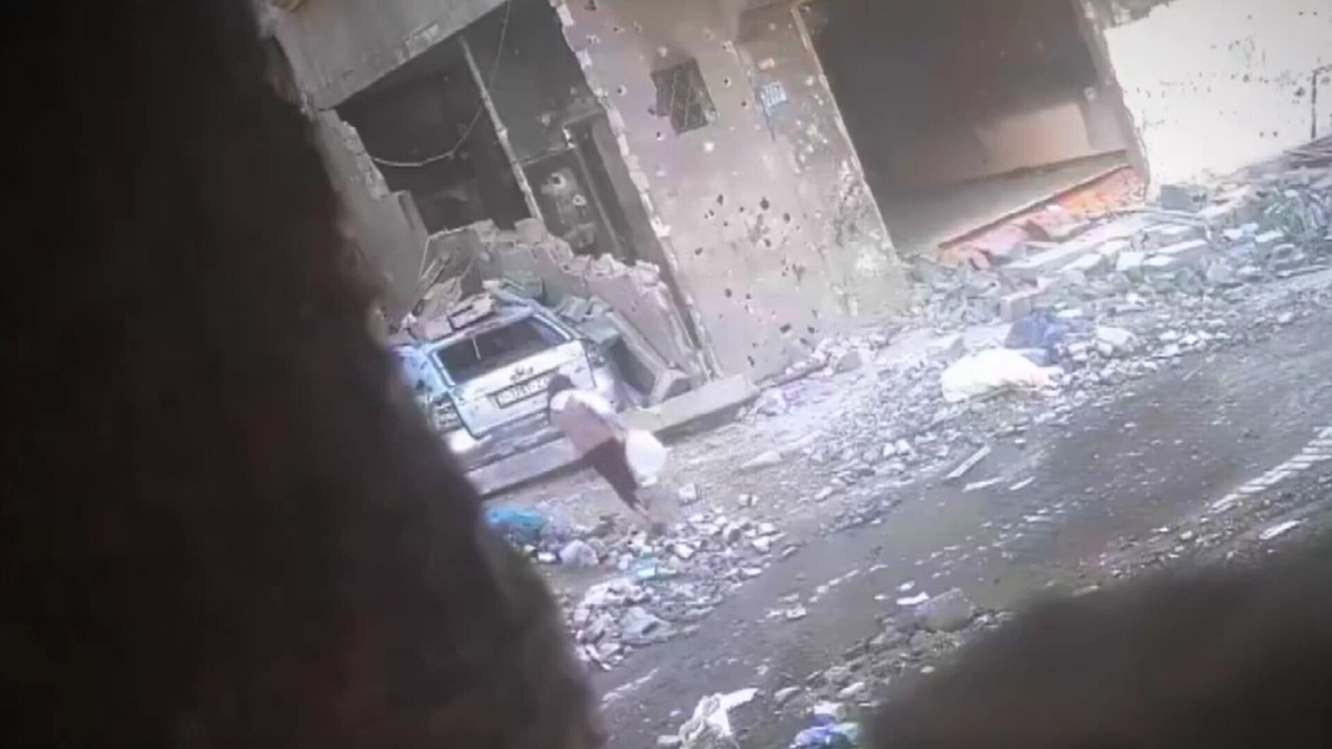 Blue Tree Project registers 1,100th tree to raise awareness of mental ...