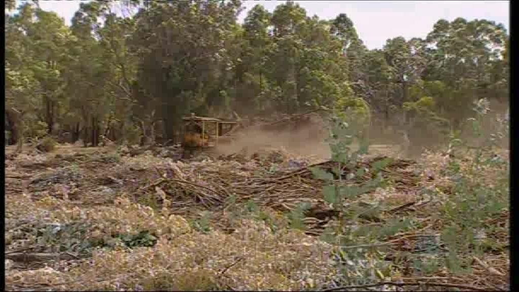 Growth Prospects - ABC News