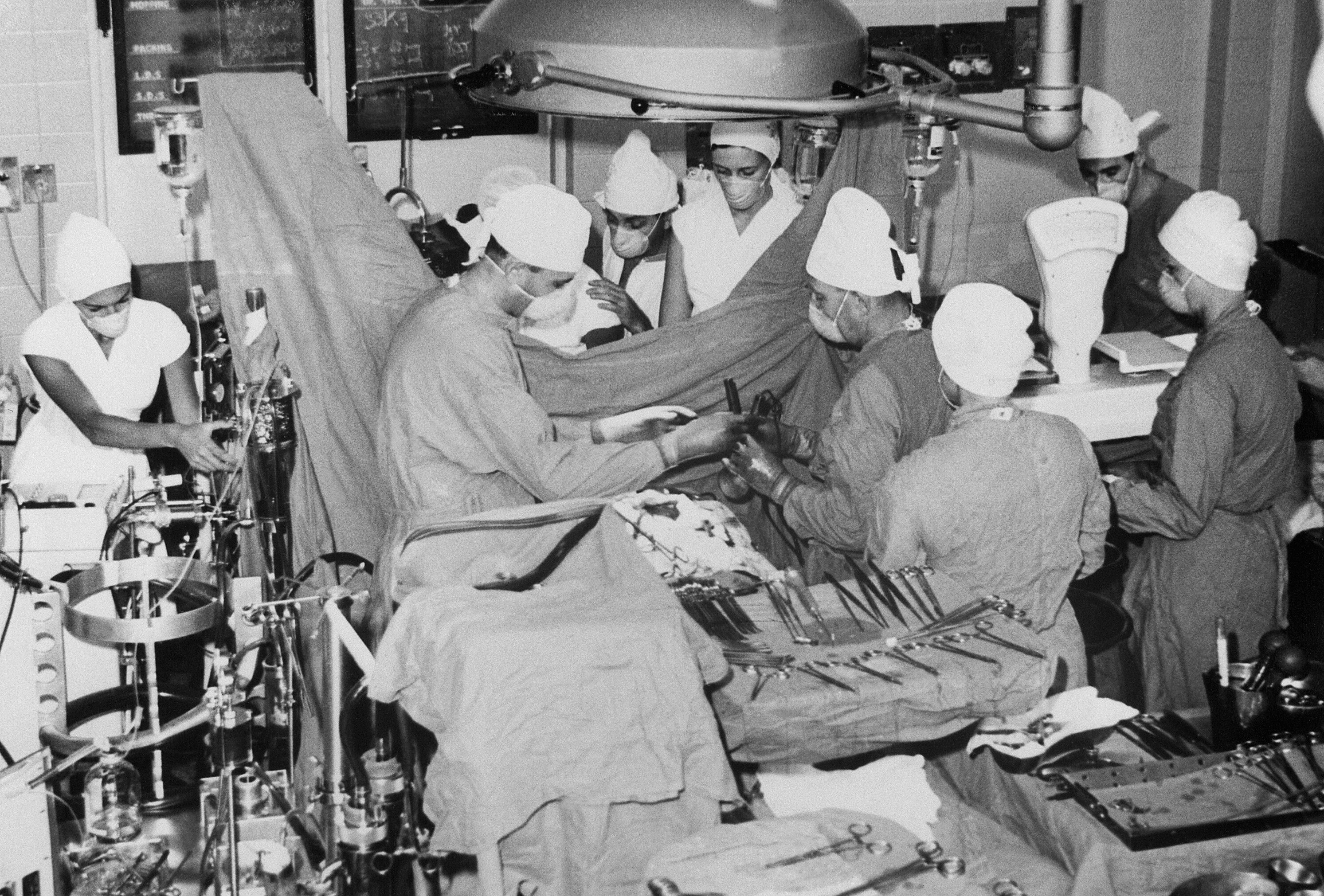 The bizarre history of medical transplants from Indian kings to stem ...