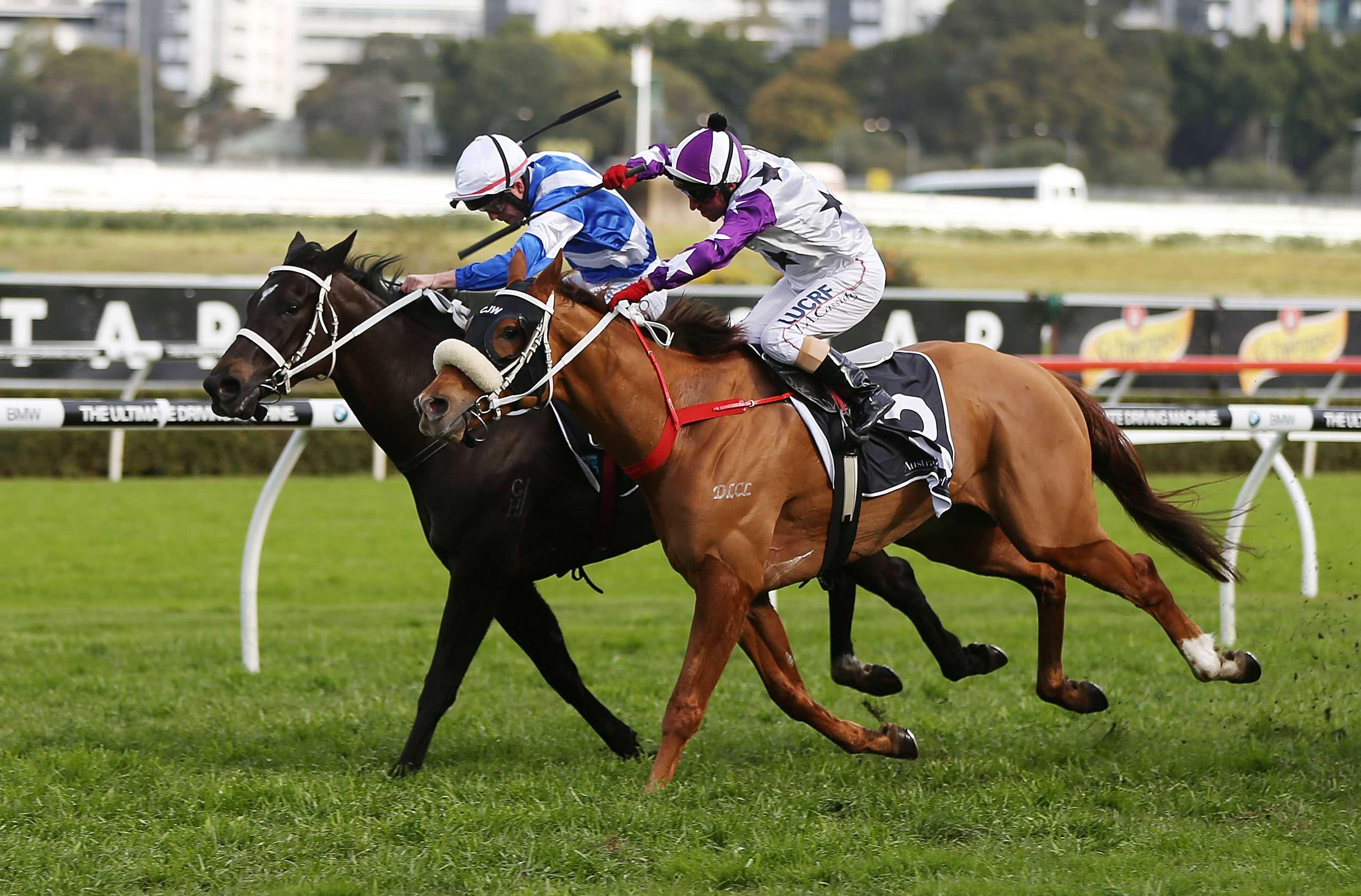 Chris Waller leads home first six runners in Chelmsford Stakes, wins ...