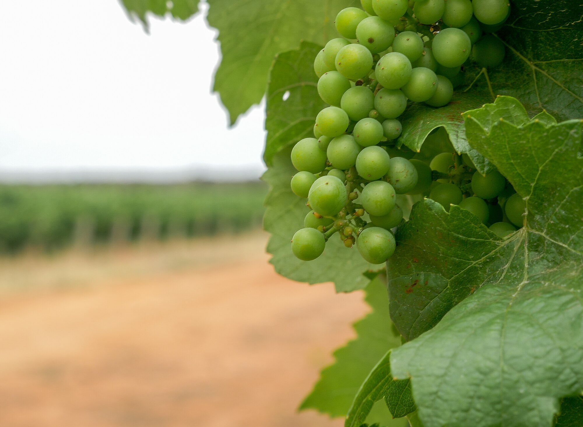 The impact of the Murray spans generations, influencing livelihoods and ...