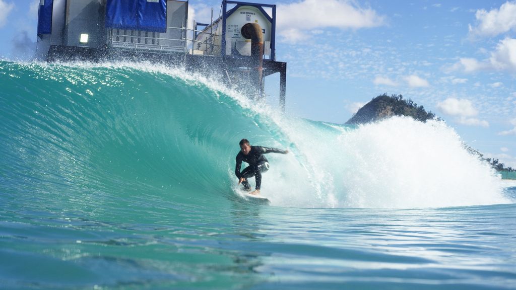Surfing - Topic - ABC News