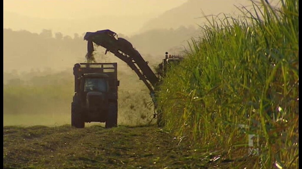 MSF board unanimously backs takeover bid - ABC News