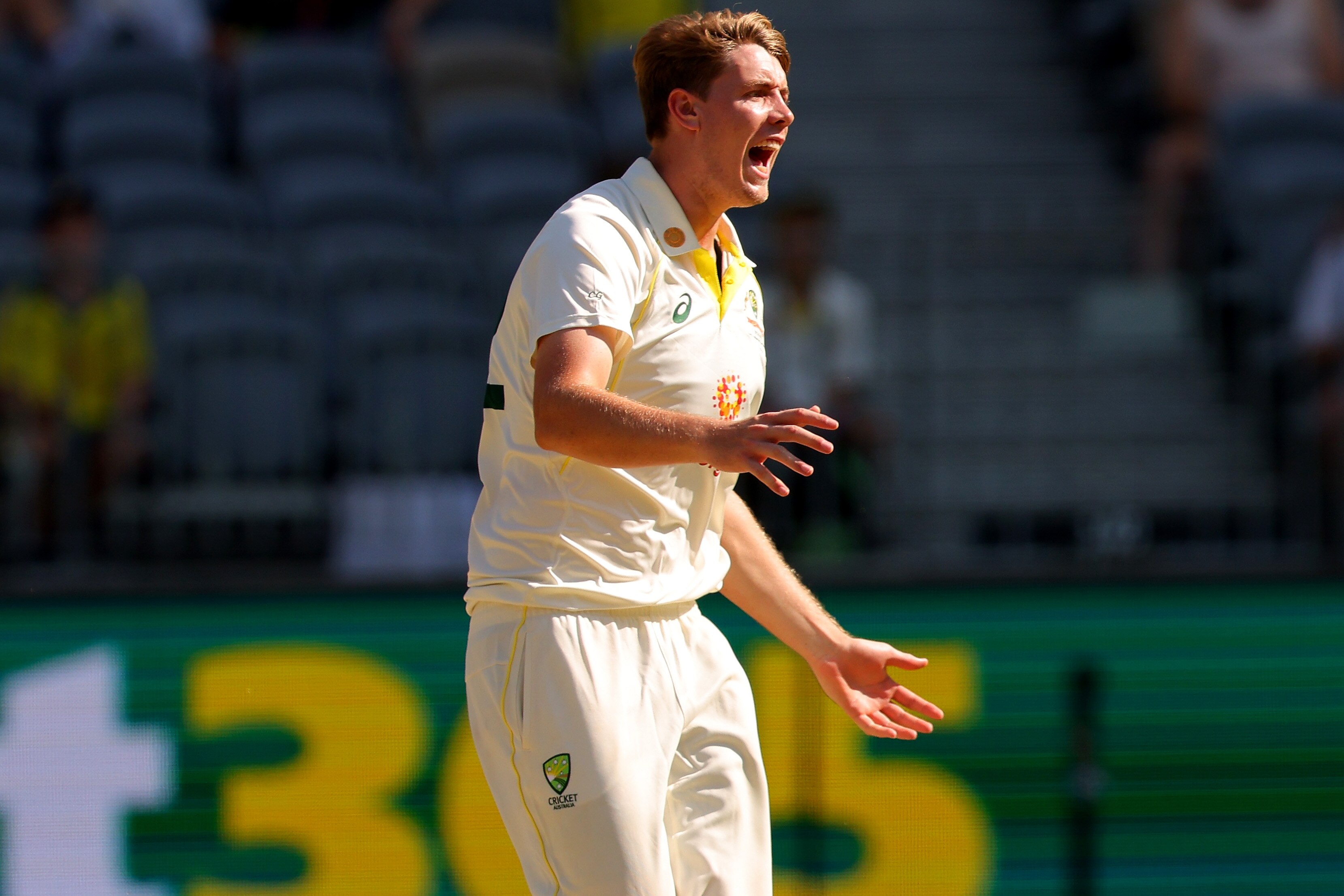 Cricket - Topic - ABC News