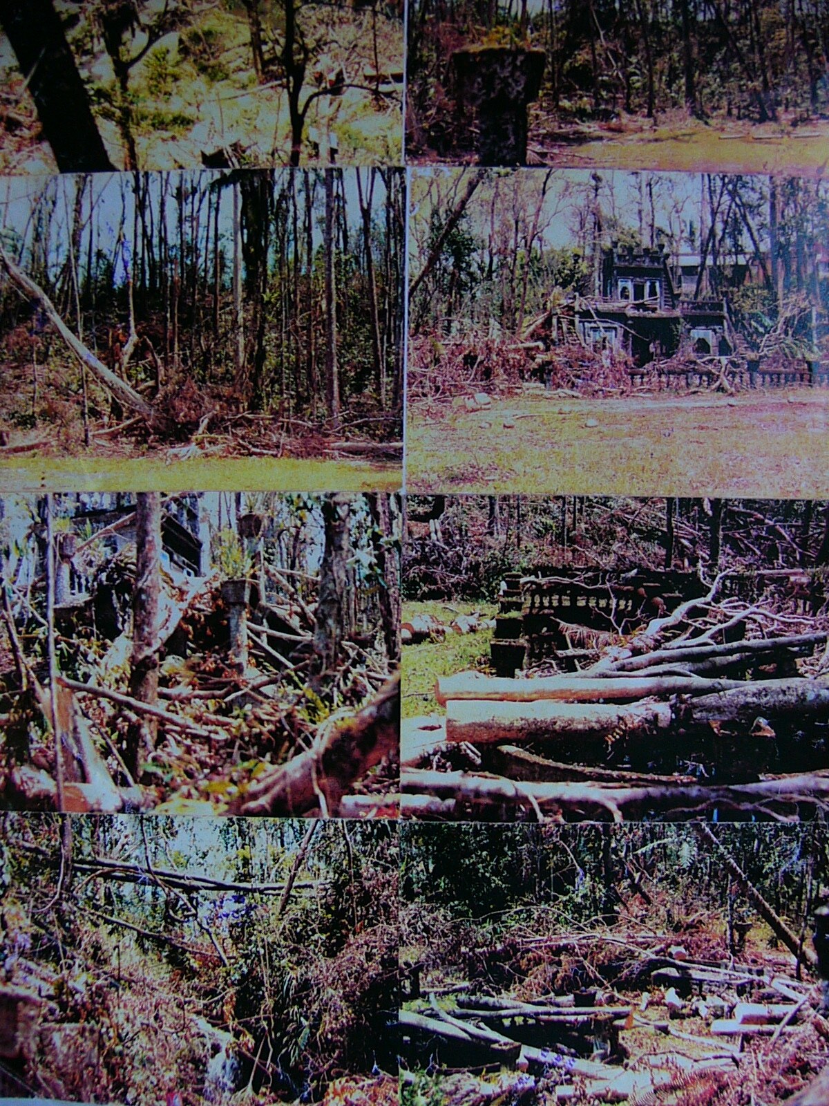 Paronella Park is a Queensland heritage-listed site but its owners say ...