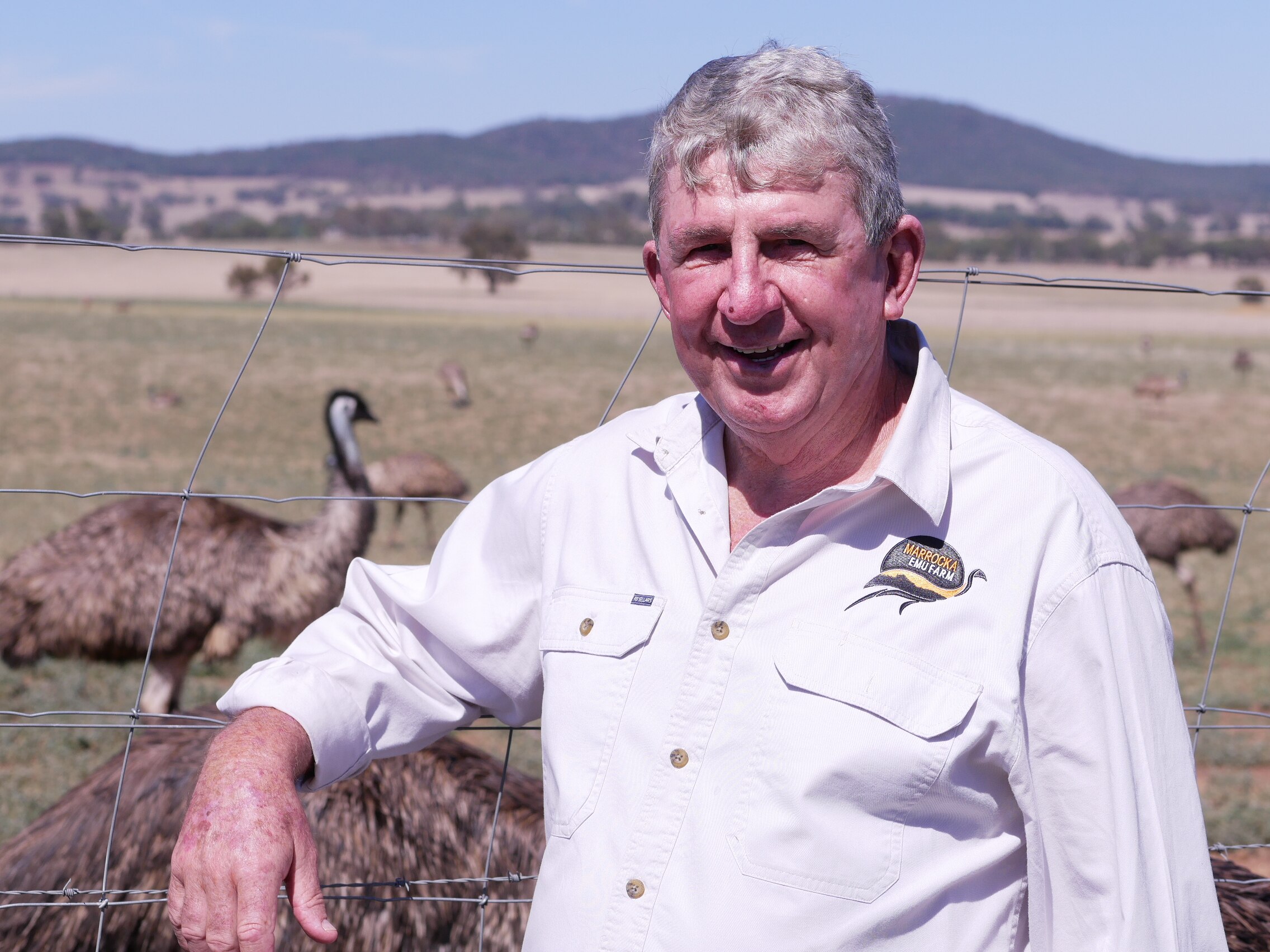 Ex-soldiers preserve emu plume tradition on slouch hats to honour army ...