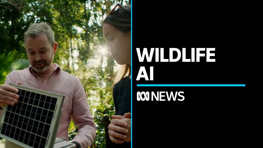 Audio search engine for Australian wildlife could help researchers ...
