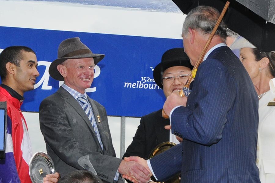 Adelaide-based trainer Phillip Stokes in hospital after being kicked by ...
