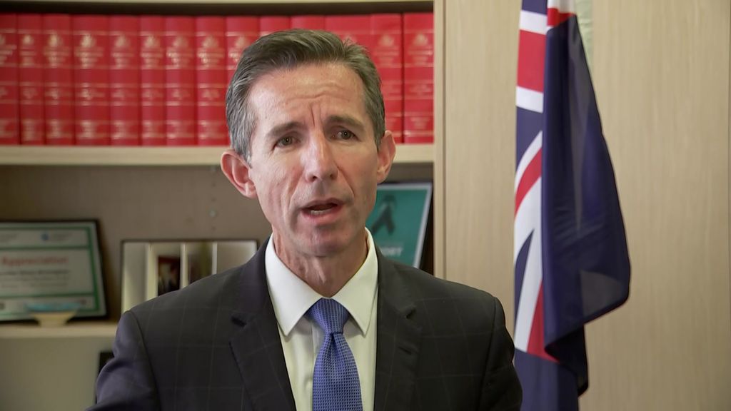 Simon Birmingham says Hamas needs to be removed to achieve peace and ...