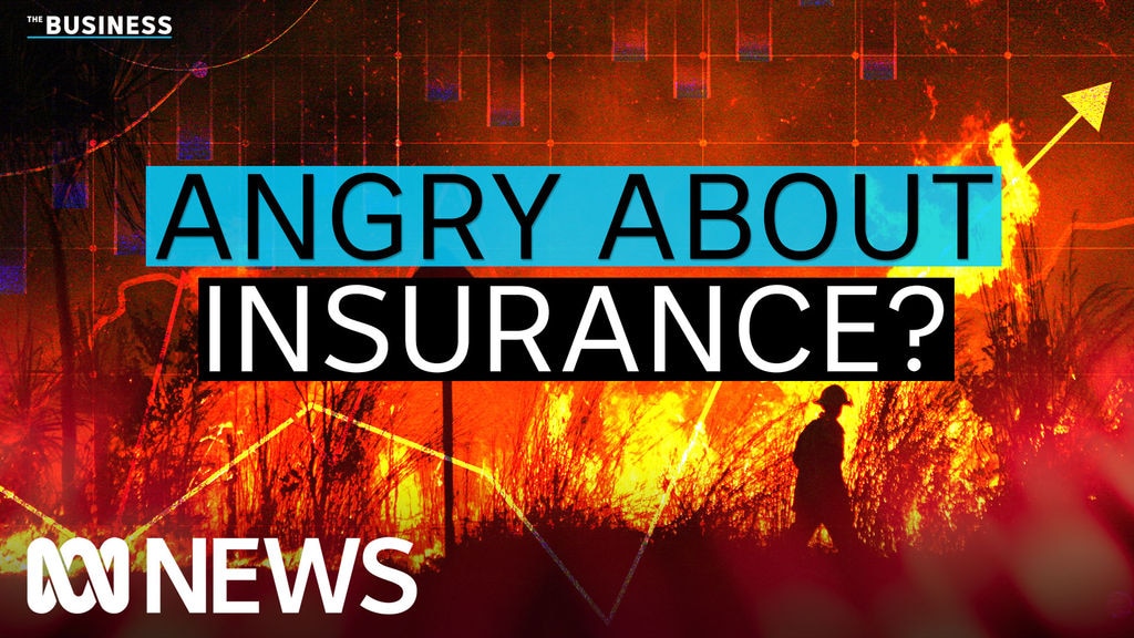 Latest Stories From ABC NEWS : ABC iview