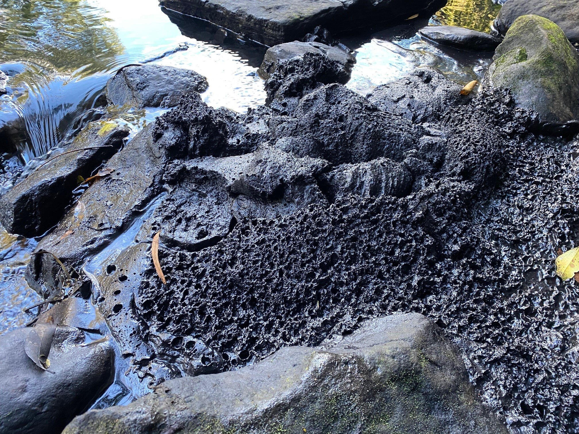 EPA orders Peabody Energy to clean up coal waste in Royal National Park ...