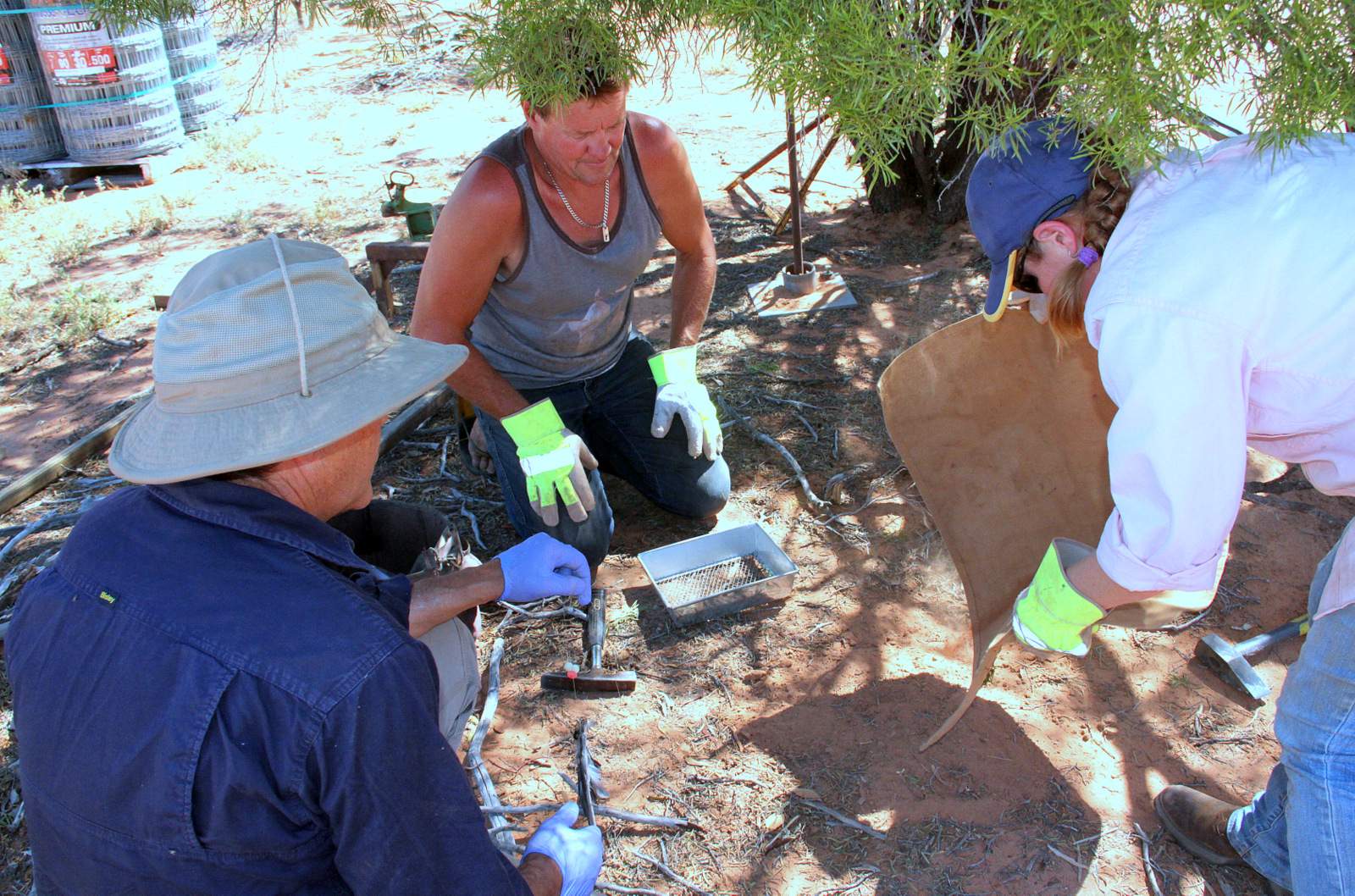 Women have 'better eye' says trainer taking dog trapping course - ABC News