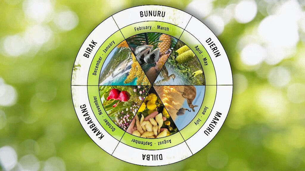 Noongar 6 Seasons - Gardening Australia