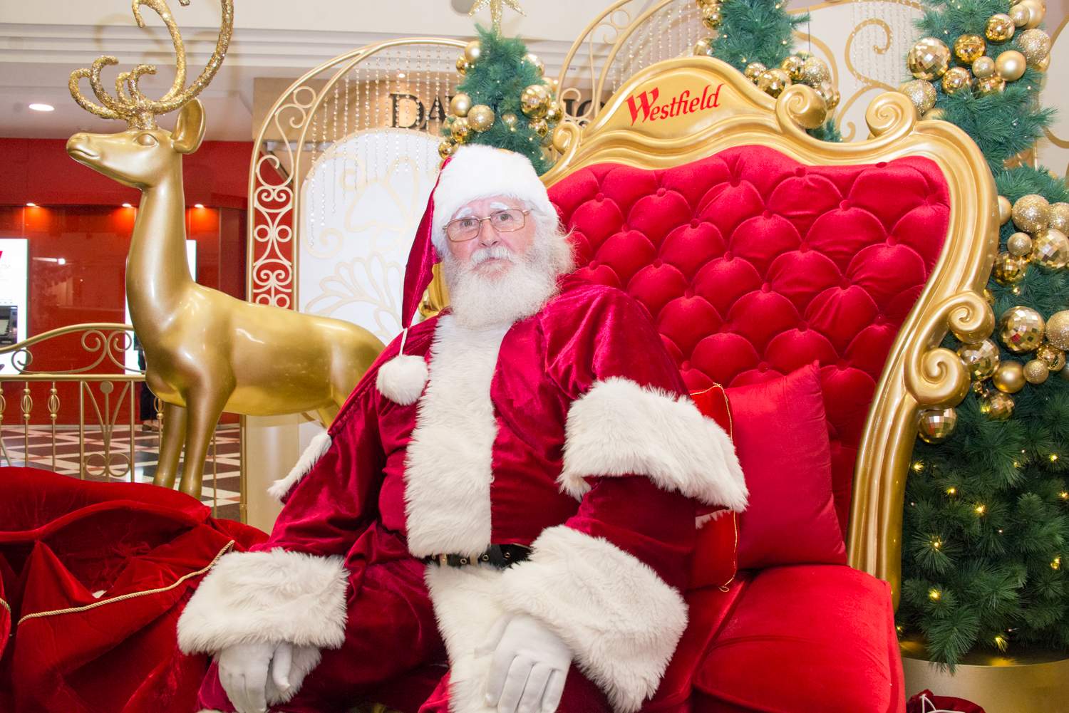 Sensitive Santa helping special needs families capture Christmas ...