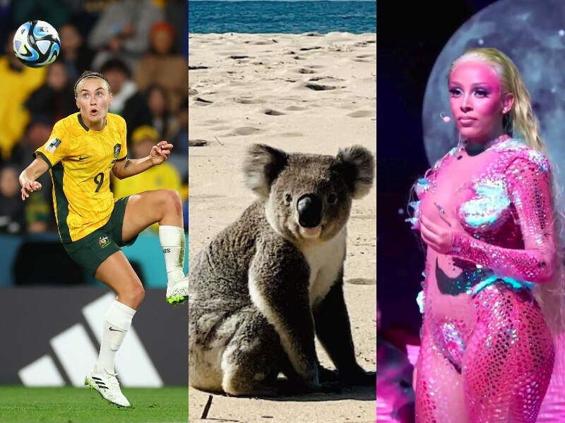 News Quizzes - ABC News