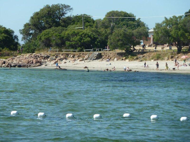 Shark barriers to be installed on Ballina's Lighthouse beach - ABC News