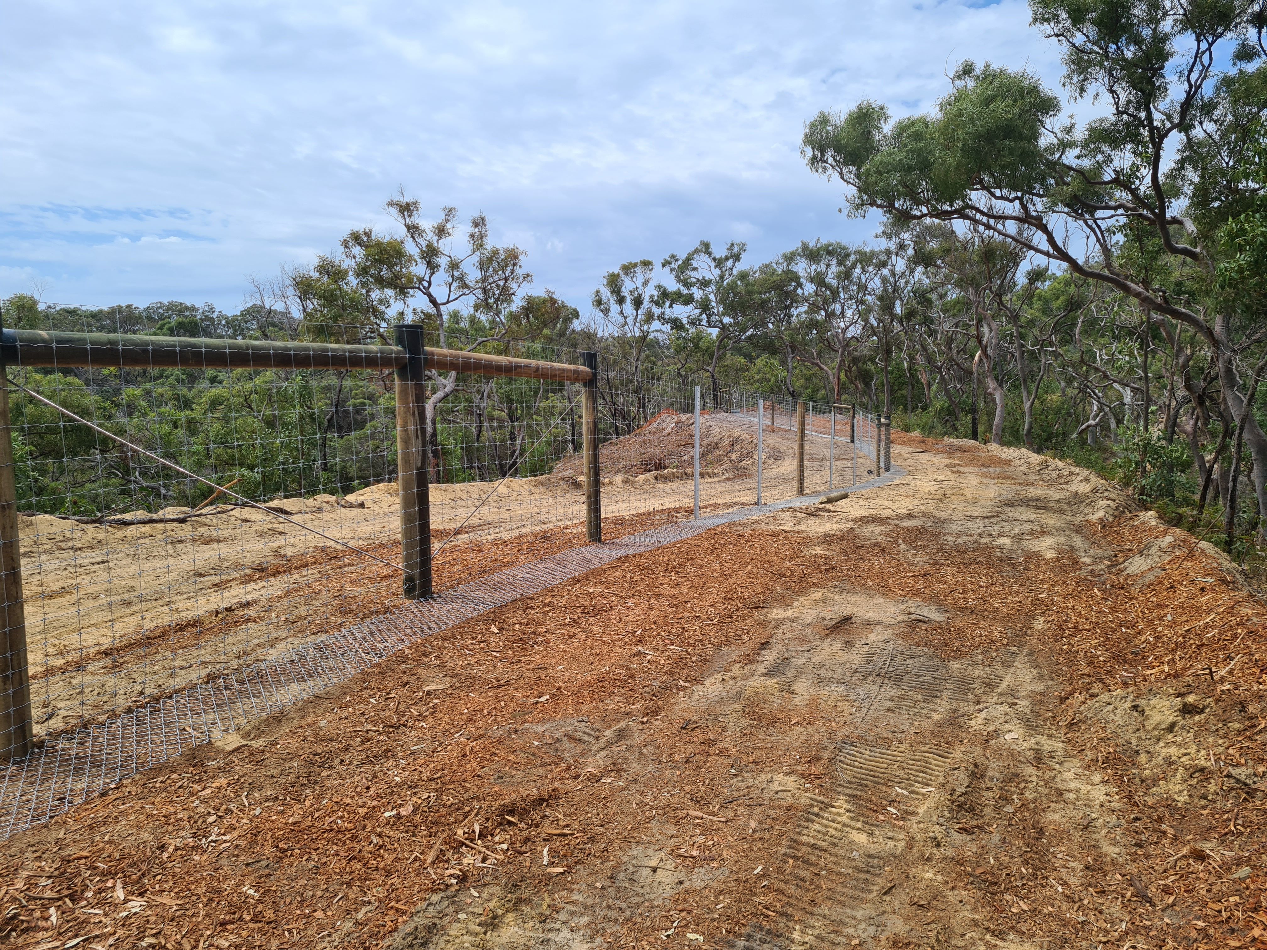 New dingo fence around K'gari's Orchid Beach will protect humans and ...