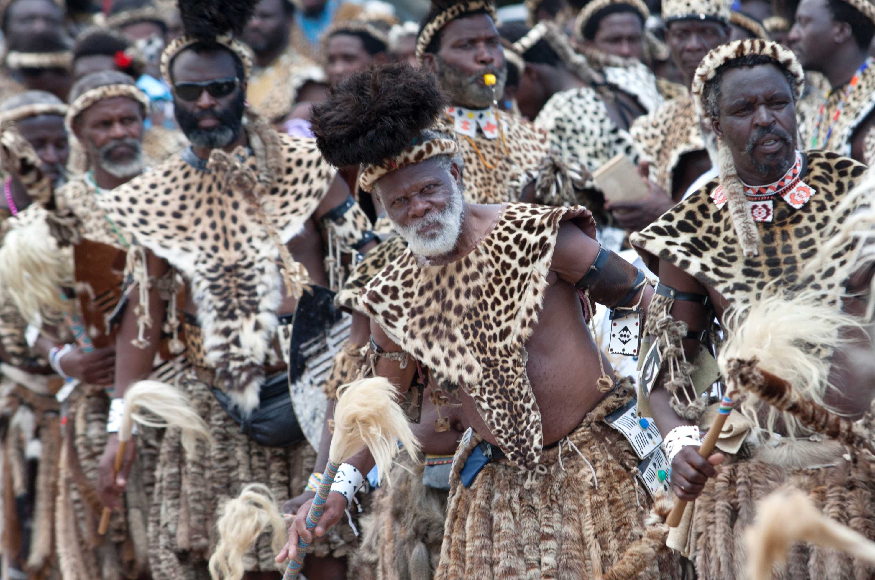 Zulu dancers turn to fake pelts to help save endangered leopard - ABC News