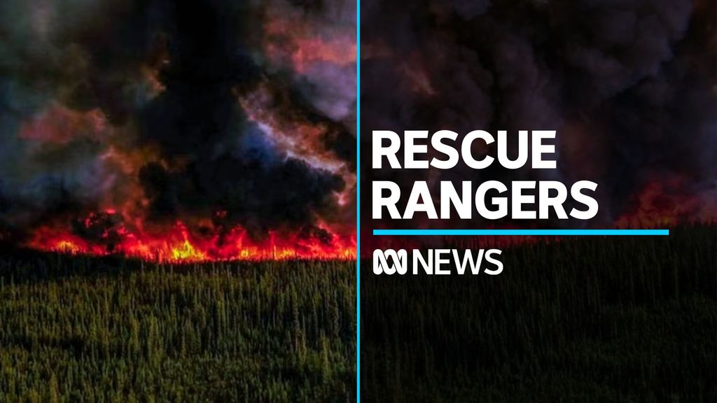 QLD sending park rangers to help fight Canada wild fires - ABC News
