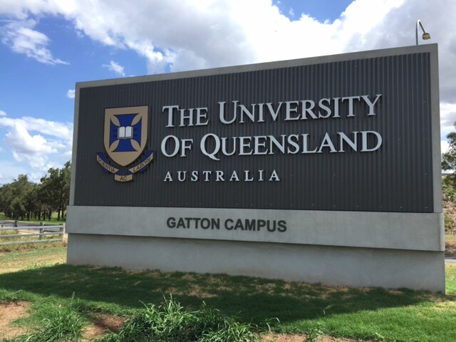 Gatton at the forefront of agricultural research and education - ABC News