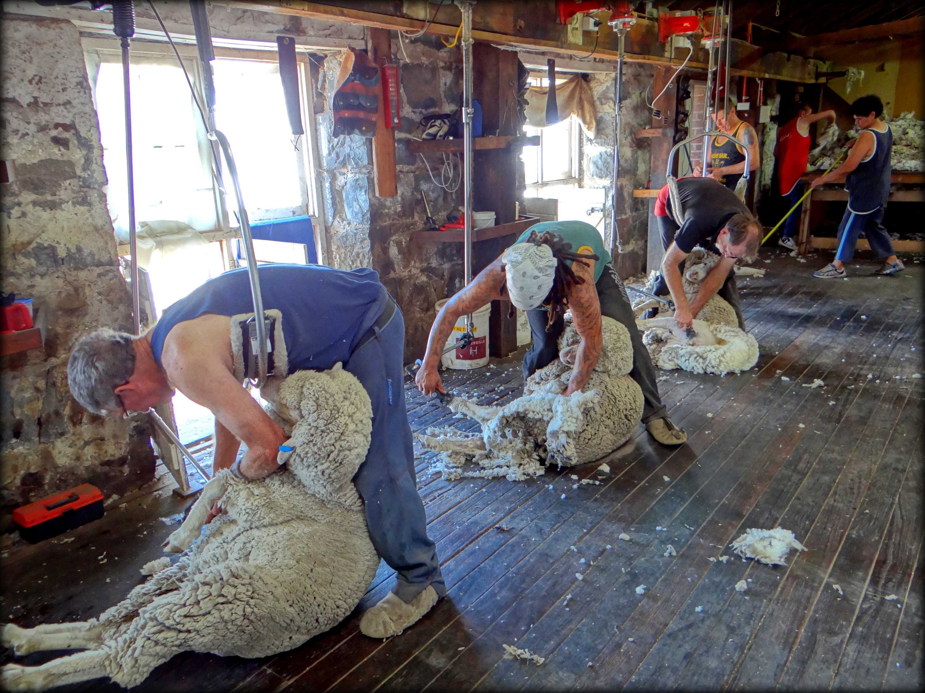 Farmer takes up photography to capture 'the last great industry' in ...