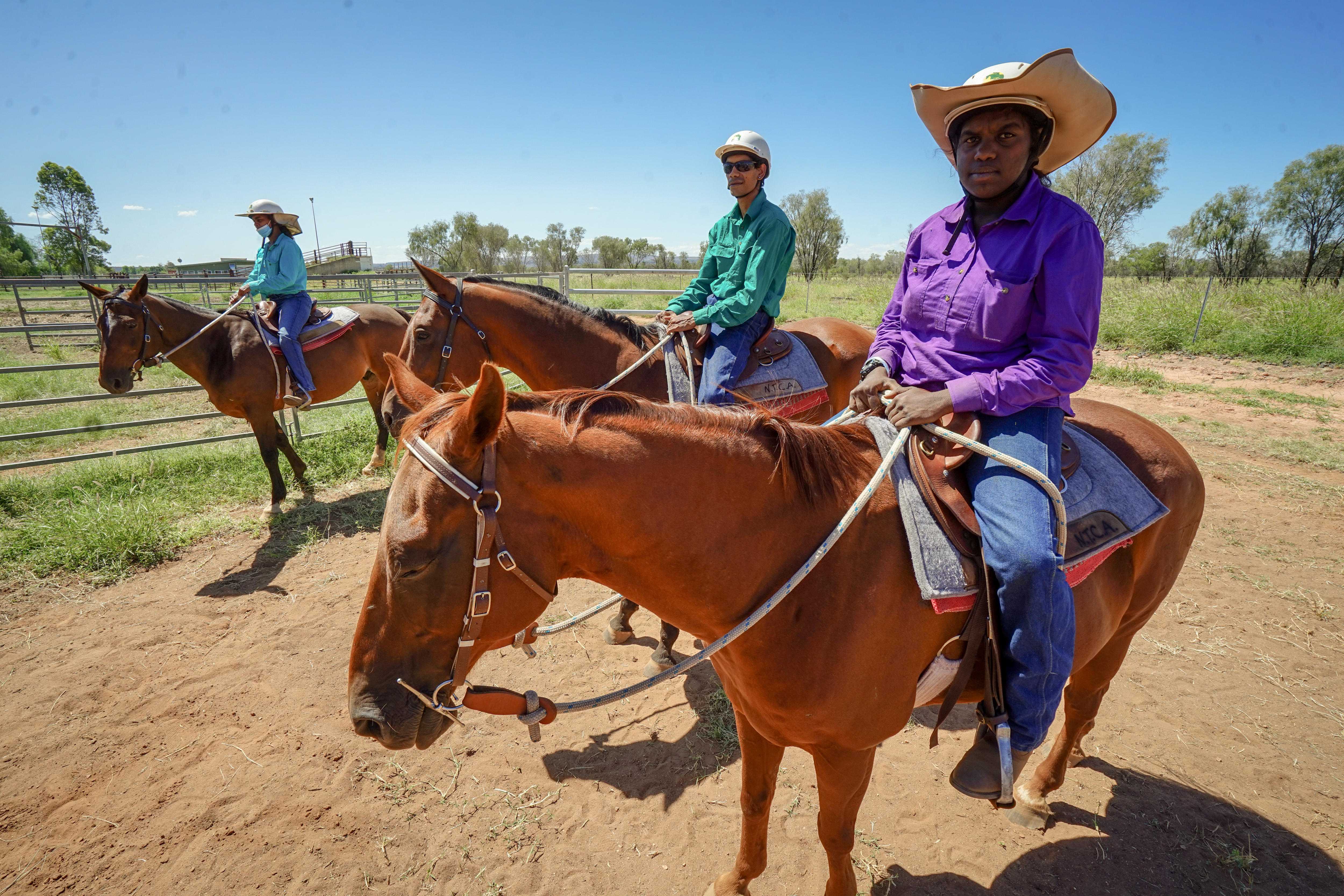 Aspiring cattlemen and women learn the skills of the pastoral industry ...