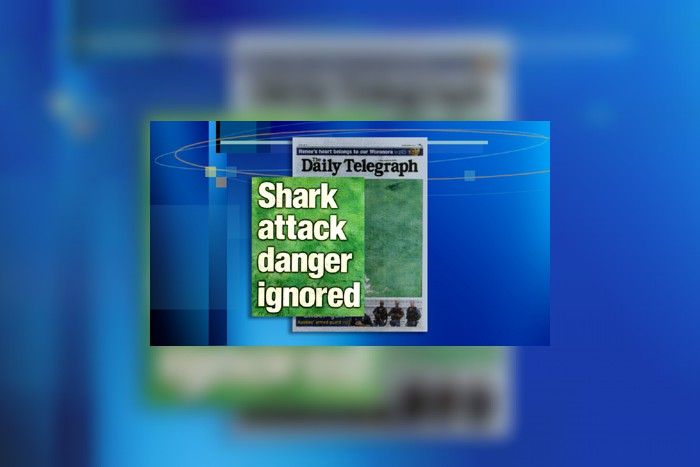 Shark Danger Non Alert - Media Watch