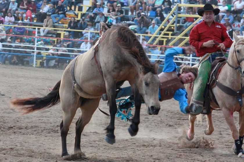 Ladies event added to White Cliffs rodeo - ABC News