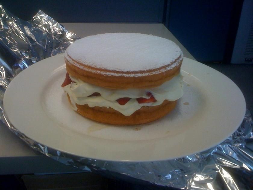 Basic Sponge - ABC Everyday