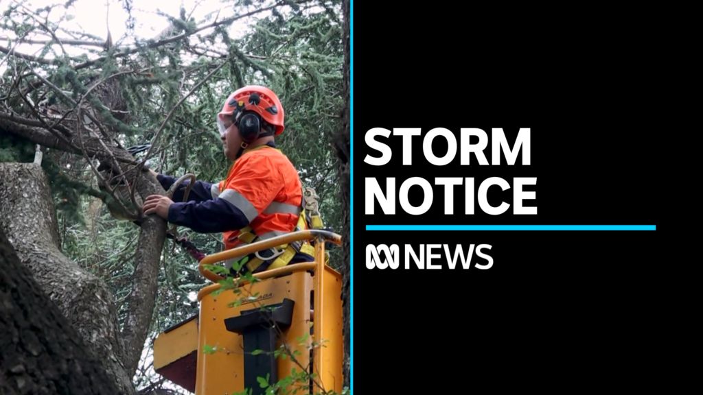 Snap storm cell takes authorities by surprise - ABC News
