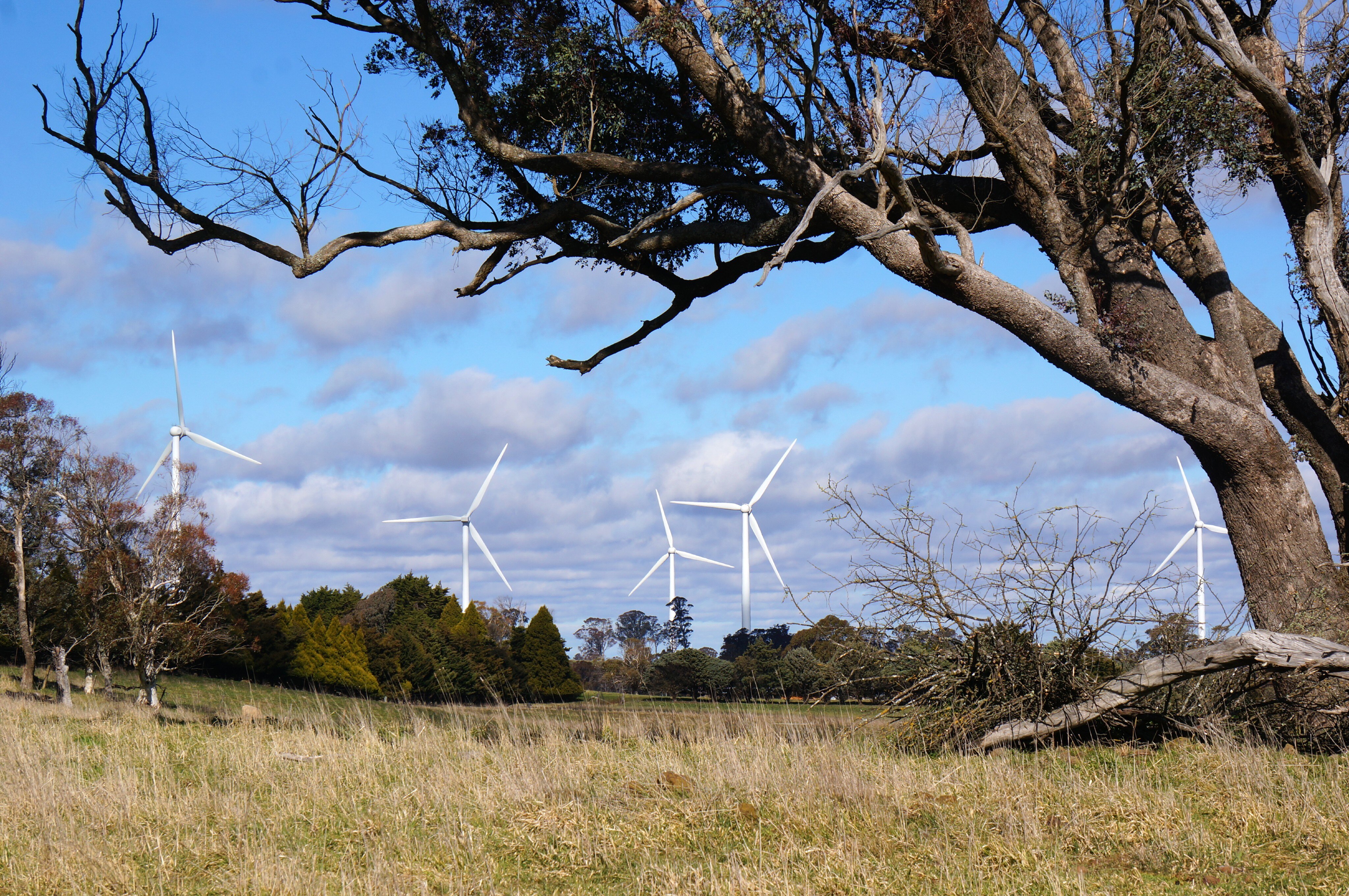 BHP to bankroll WA wind farm - ABC Radio