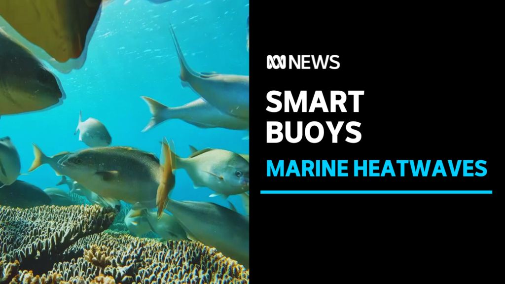 Climate Change - Topic - ABC News