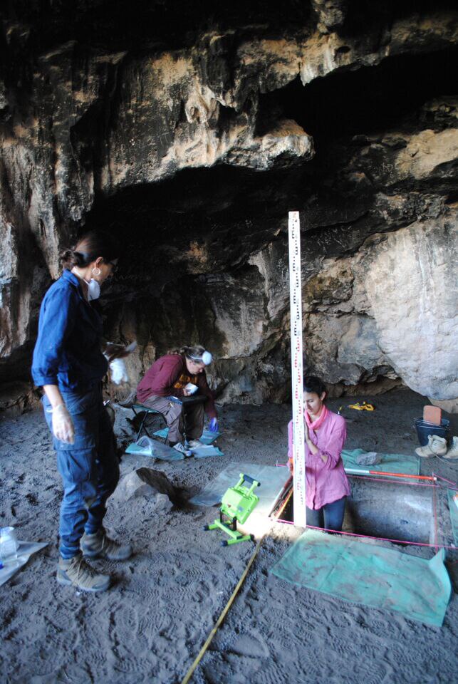 Archaeologist seeks crowdfunding for study into threatened plant and ...