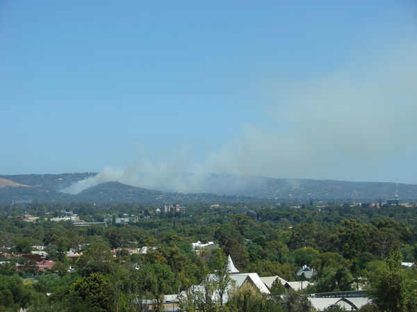 Adelaide hills fire forces evacuations - ABC News