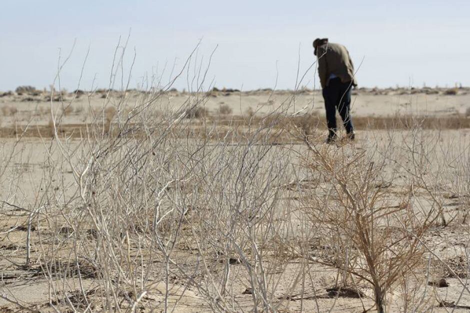 Drought assistance to finally flow to South Australian farmers, seven ...