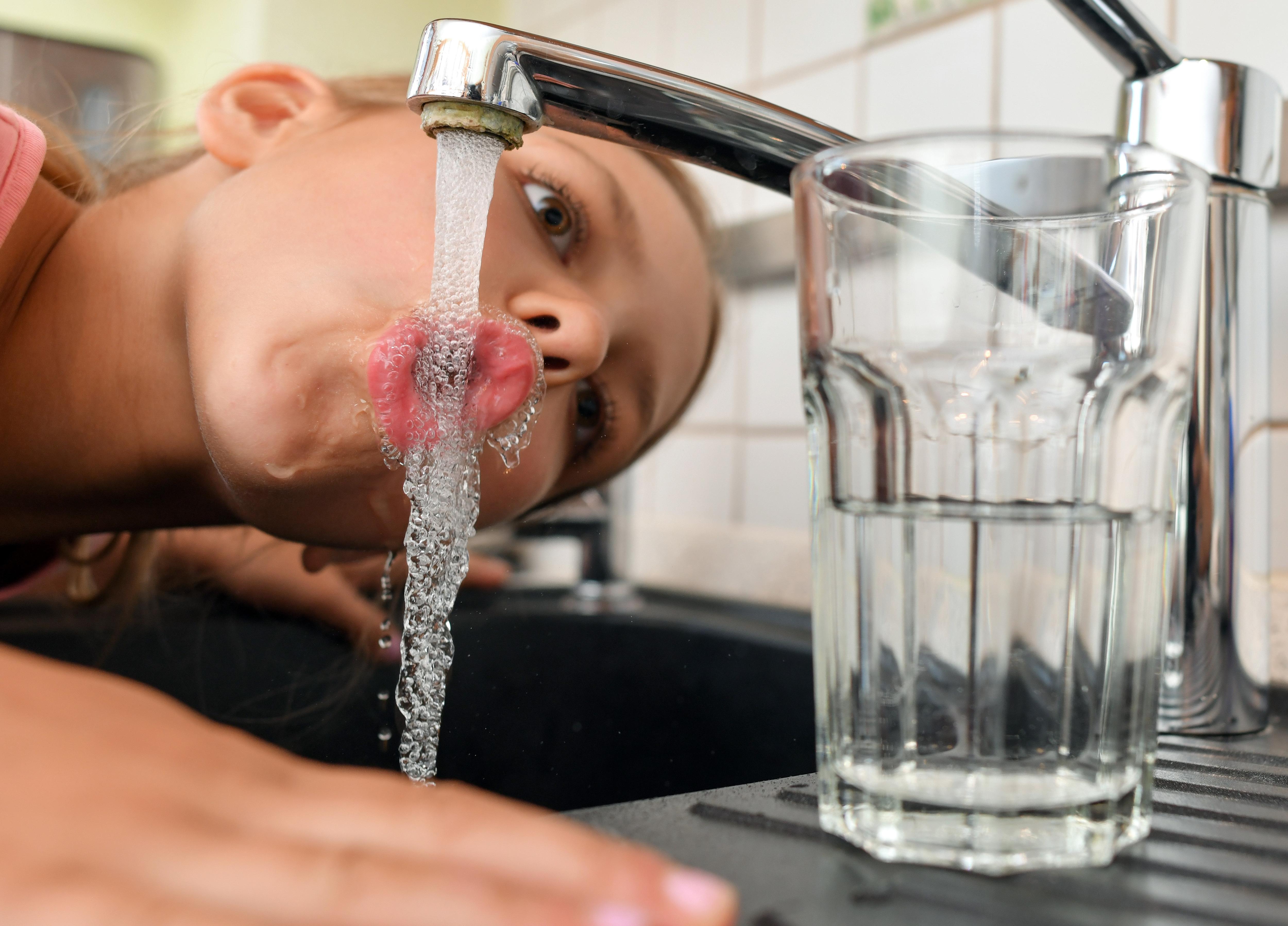 Fluoride and freedom: The social costs of efforts to de-fluoridate ...