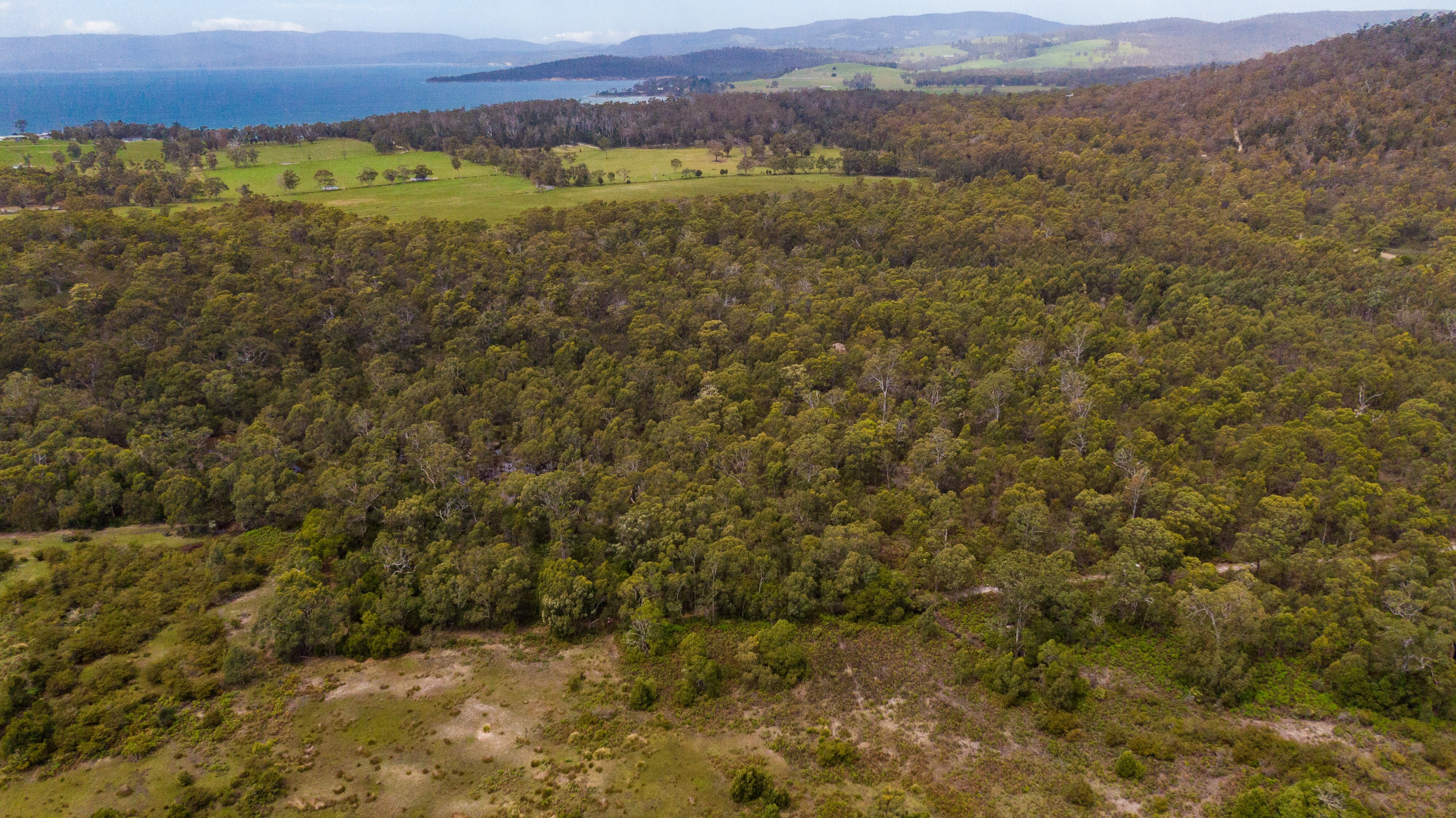 Hundreds of donors rally to buy and protect Tasman Peninsula bush block ...