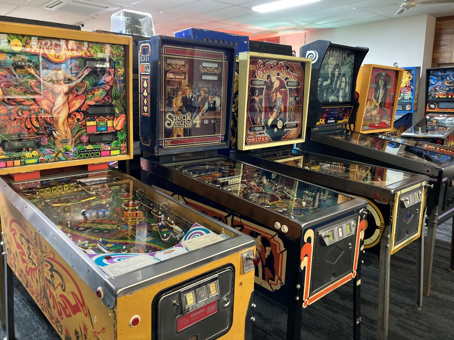 Huge collection of pinball machines ready to play at this year's TazPin ...