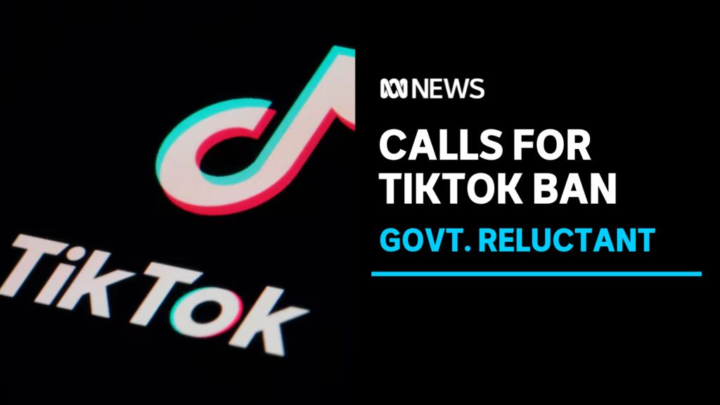 Coalition supports potential TikTok ban - ABC News